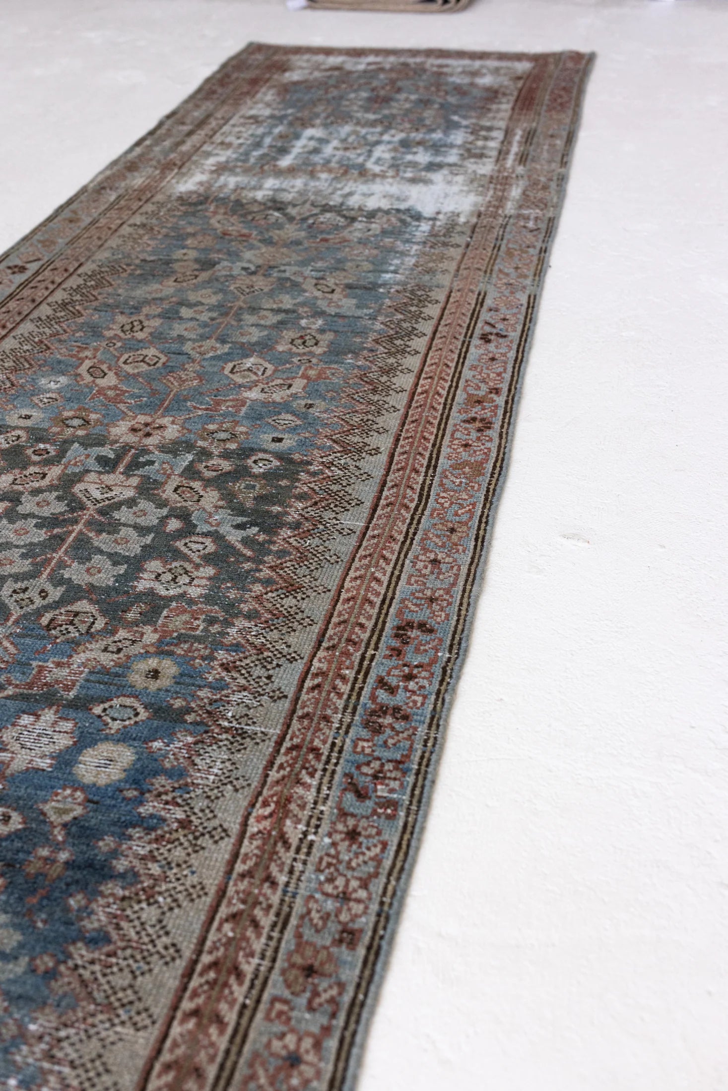 Joan+Company Design Inspo: Featuring Curio Rugs